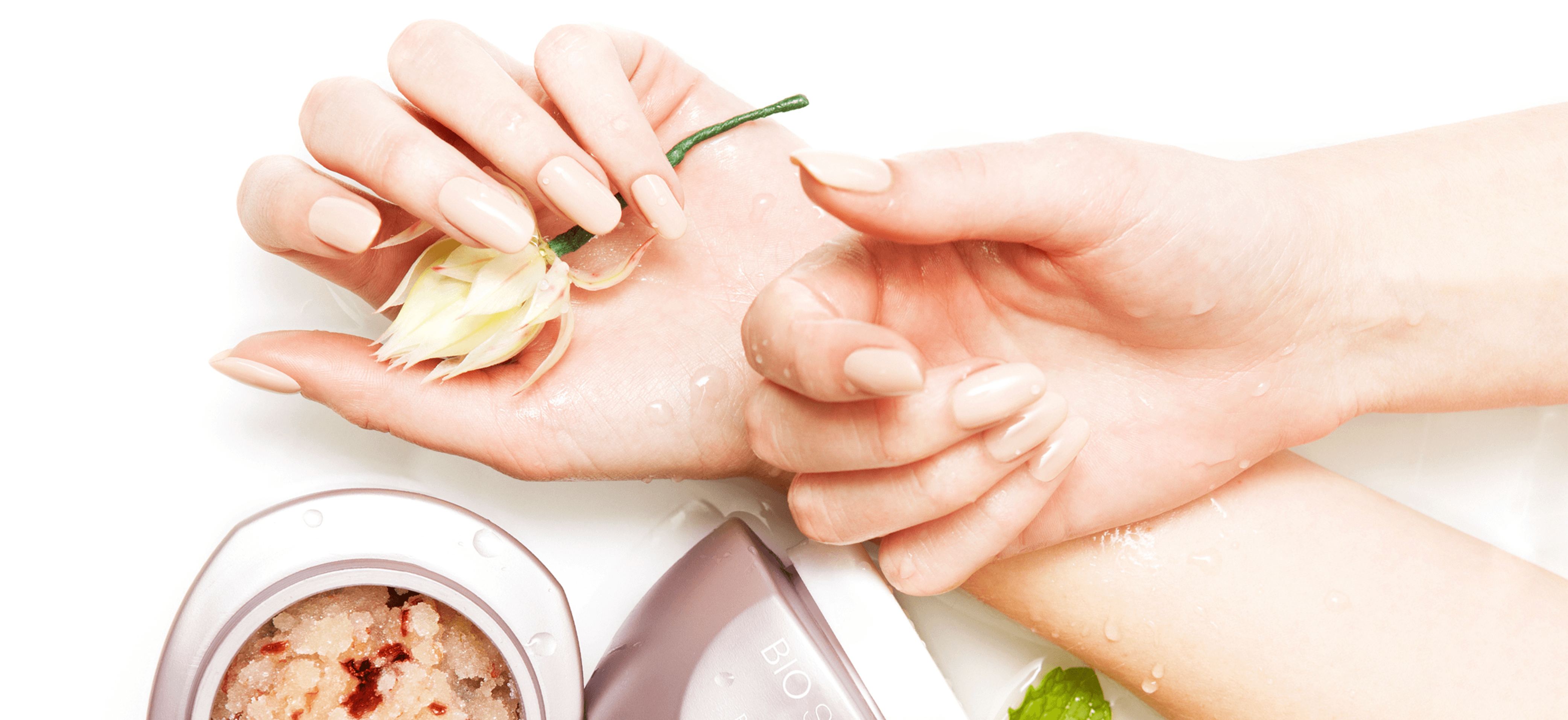 SPA | OVERVIEW – Bio Sculpture USA